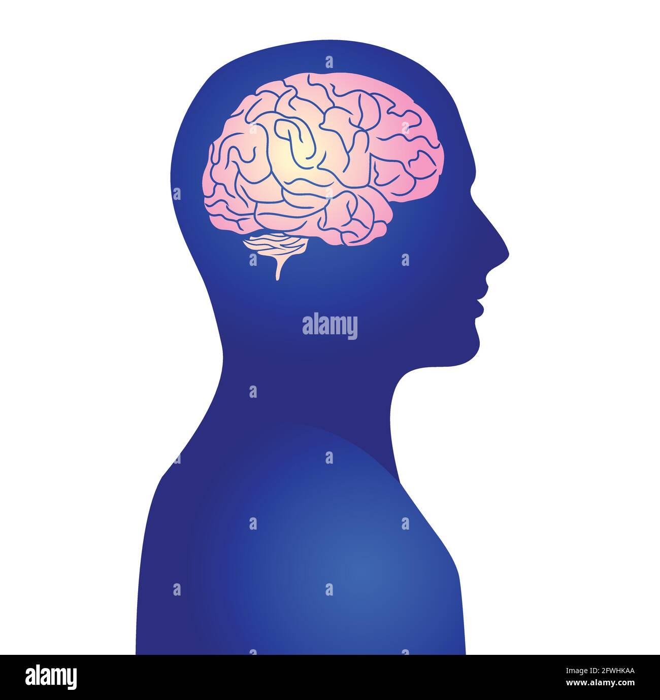 Human active brain vector illustration Stock Vector Image & Art - Alamy