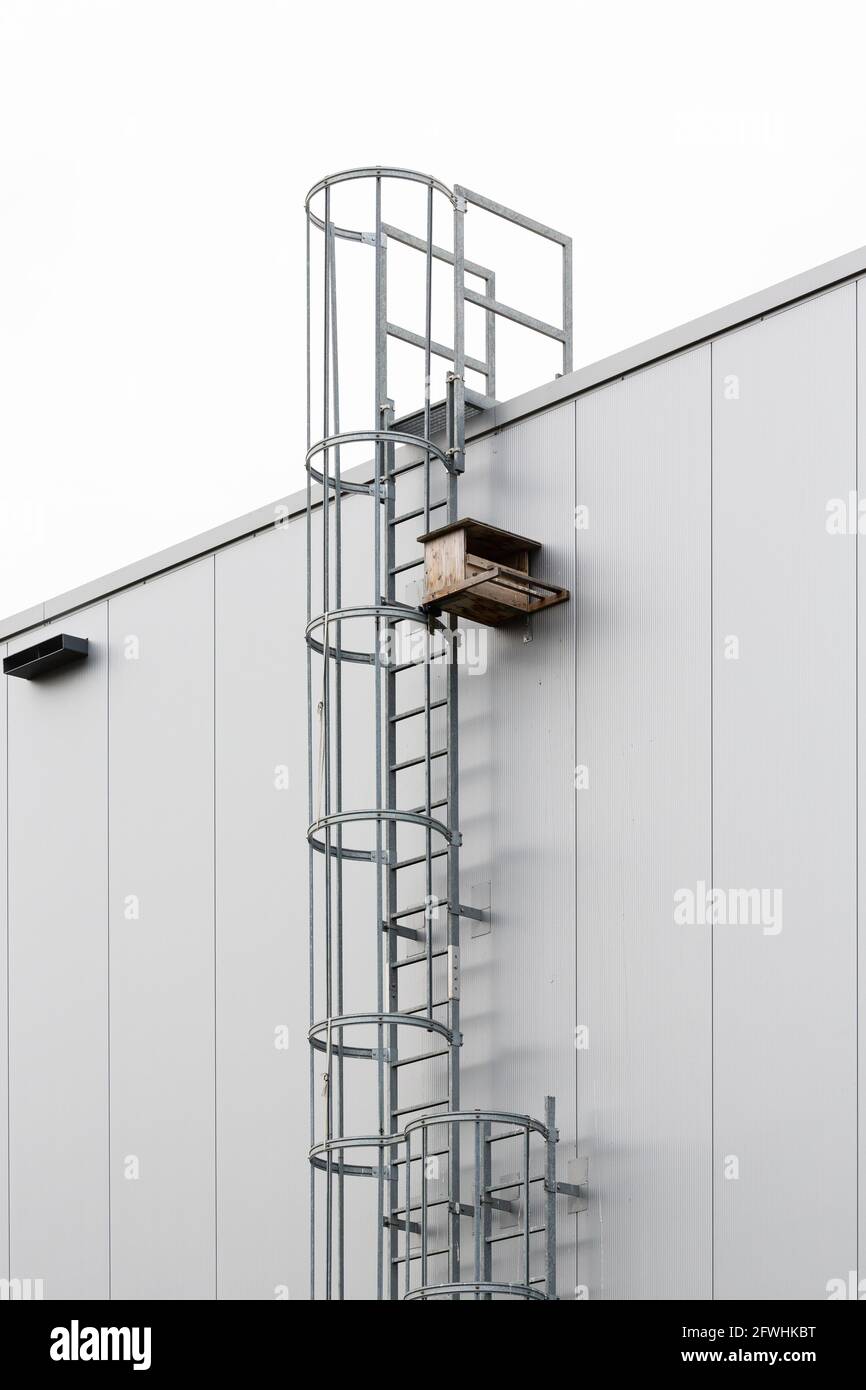 Kestrel nest box hi-res stock photography and images - Alamy