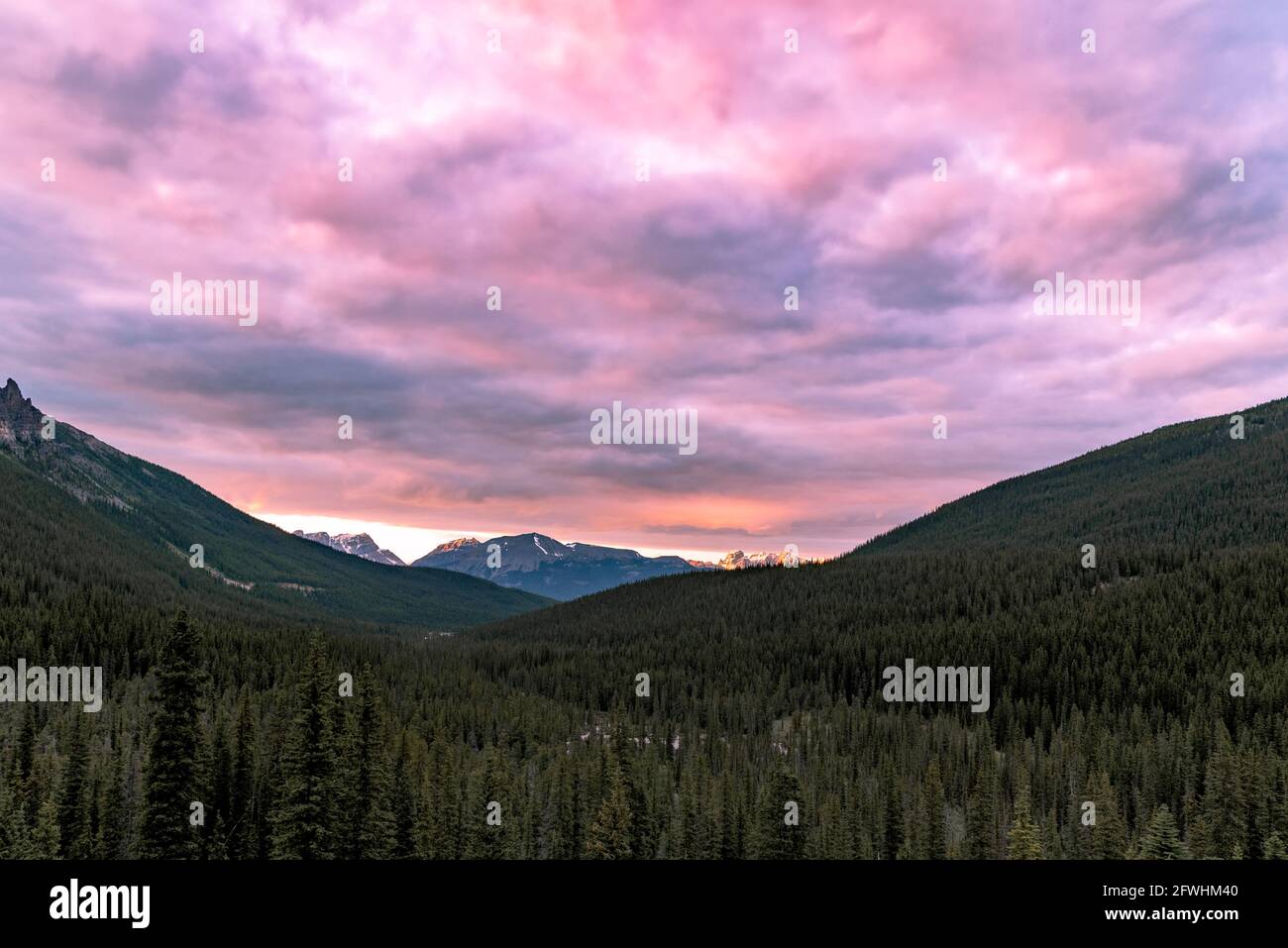 Sunset time in Banff National Park in the summer time with stunning ...