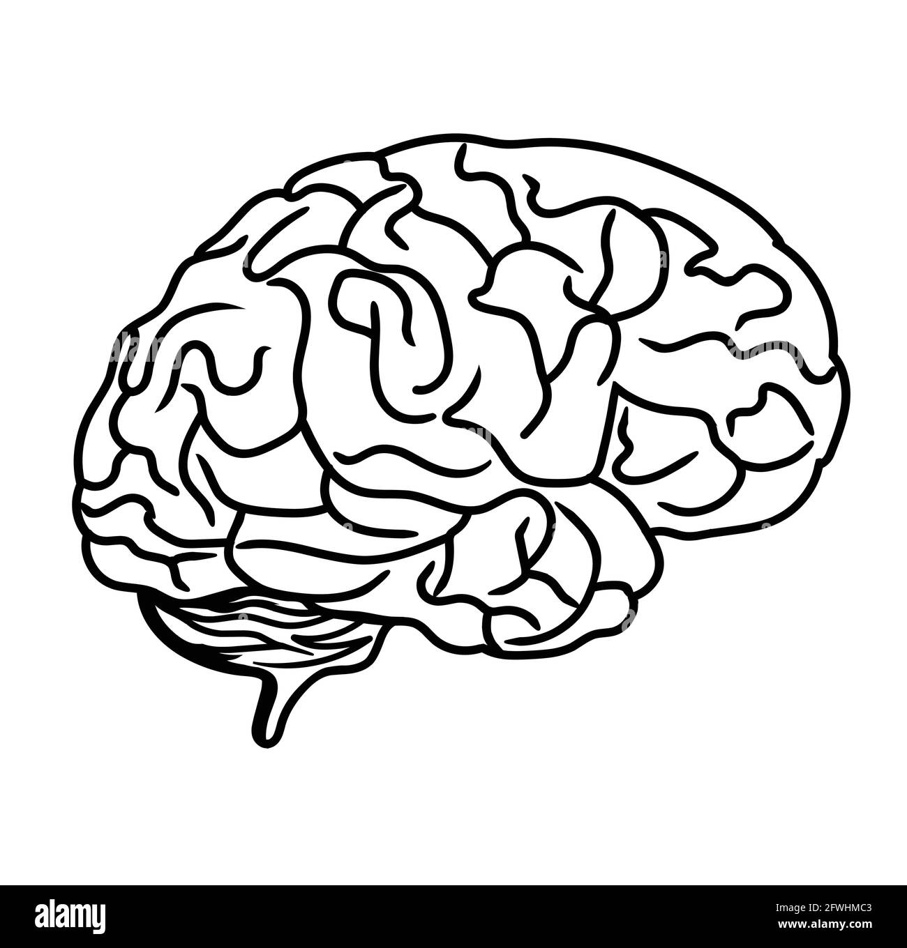 Brain Black And White Vector