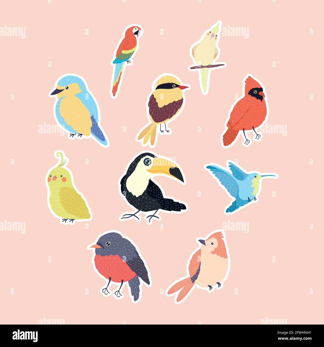ten birds species set animals Stock Vector Image & Art - Alamy