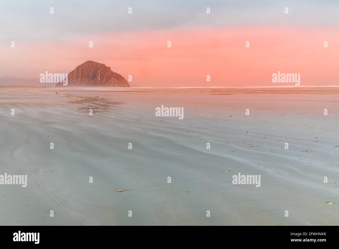 Cute Beach Headers For Twitter