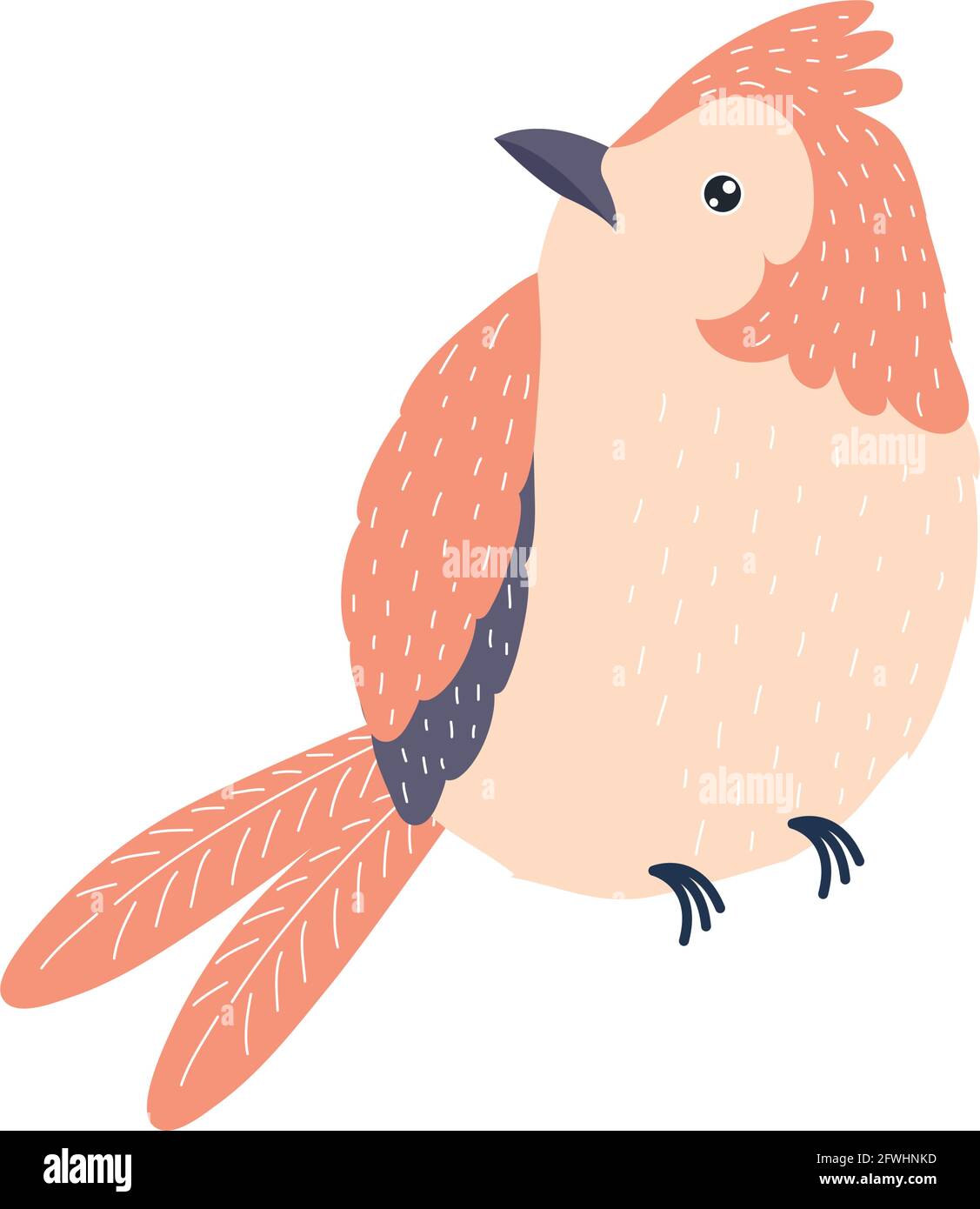 Jay bird Stock Vector Images - Alamy