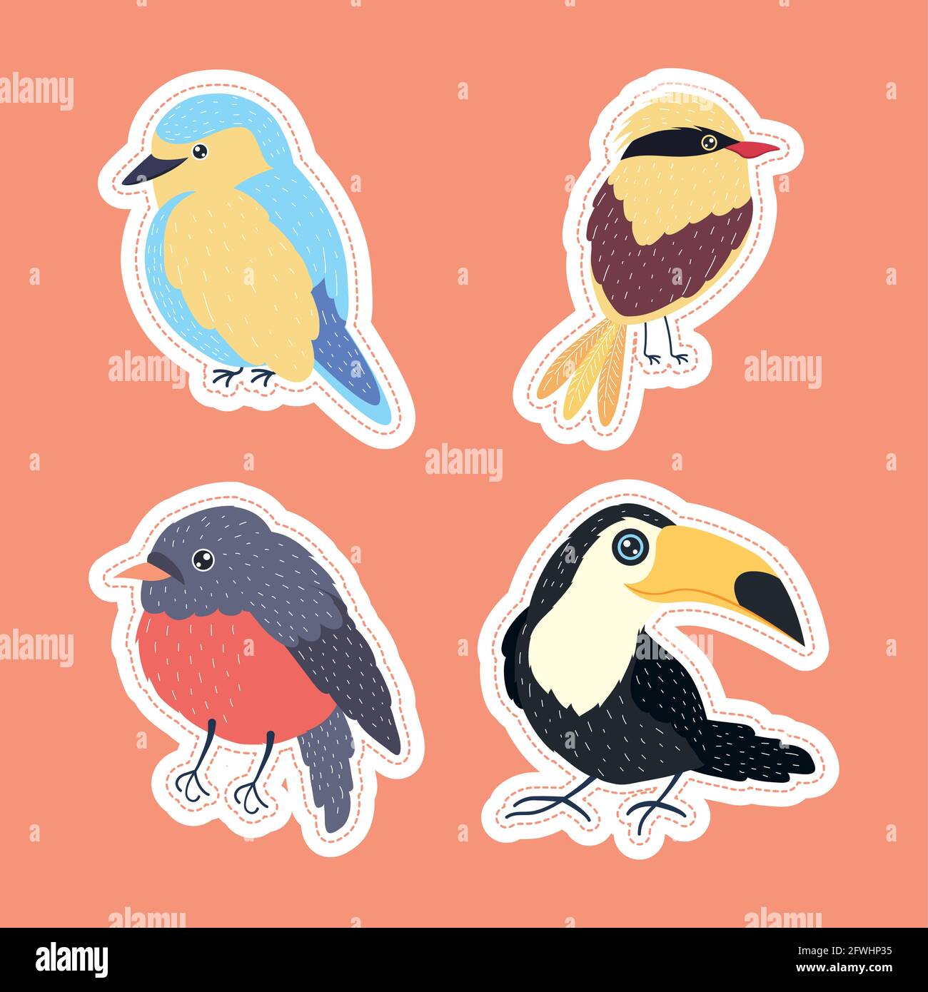 birds four species set animals Stock Vector Image & Art - Alamy