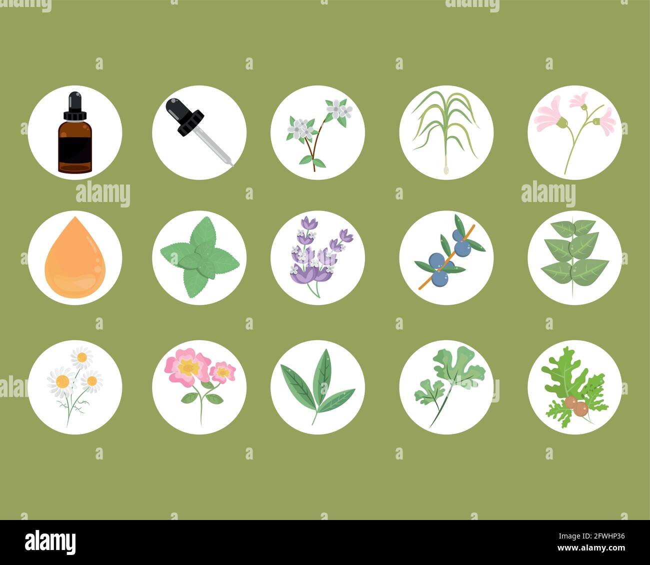 essentail oils plants Stock Vector Image & Art - Alamy