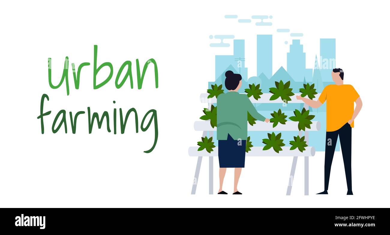 urban farming hydroponics gardening in city organic farm activities ...