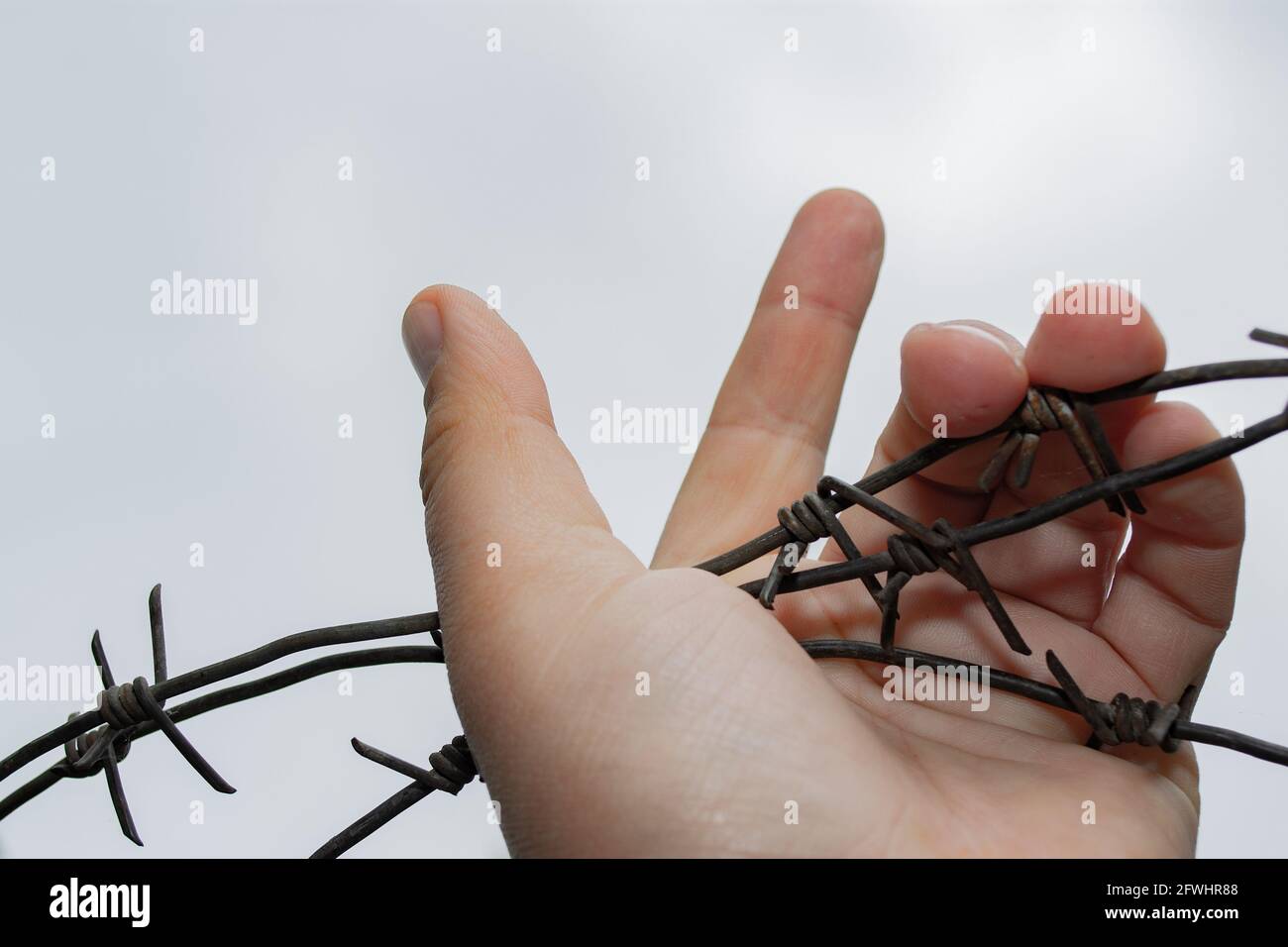hand holding barbed wire against the sky Stock Photo - Alamy