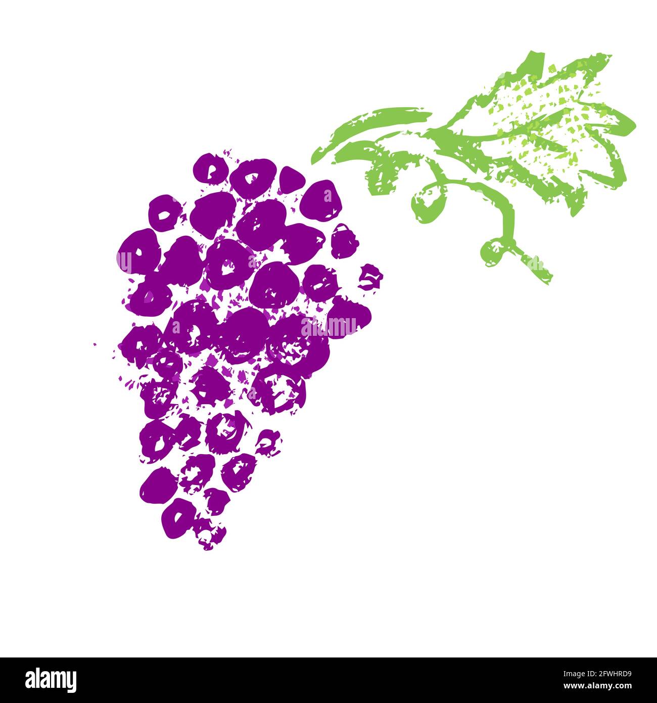 Purple grapes. Grape fruit imprint. Vector illustration Stock Vector ...