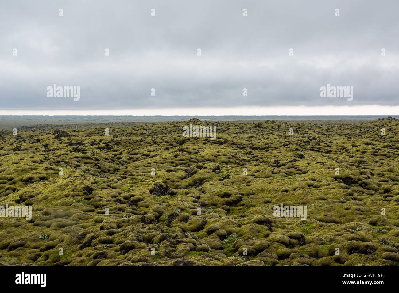 Landscape view of the green, mossy field and moody clouds Stock Photo ...