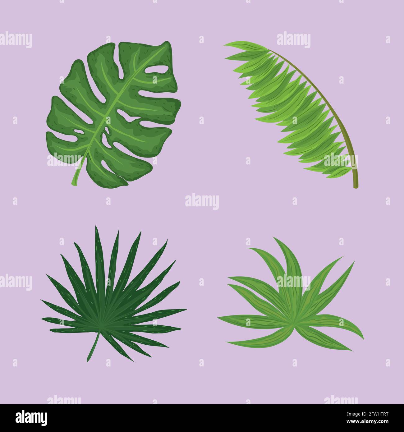tropical leaf set Stock Vector Image & Art - Alamy