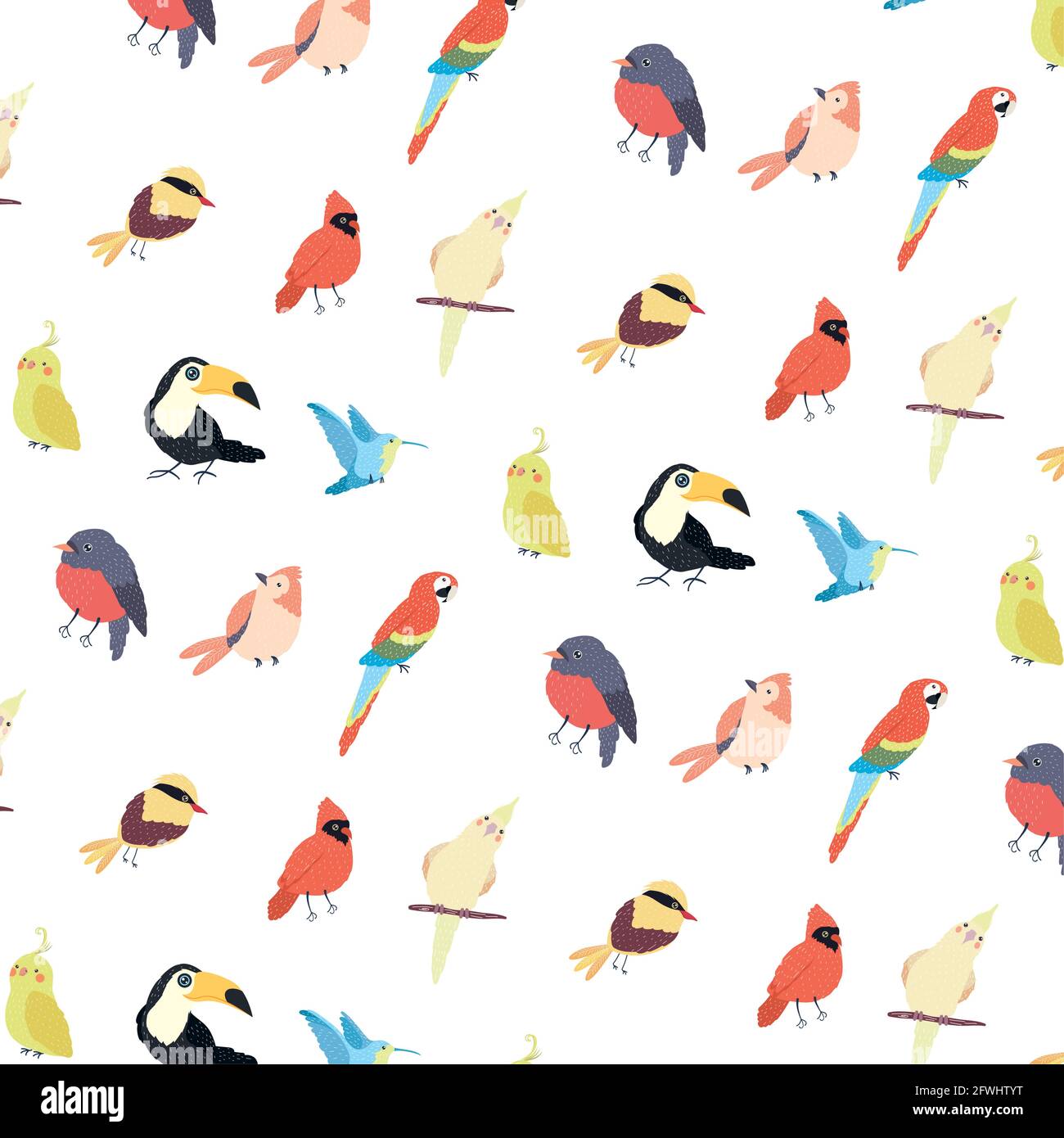 birds species pattern animals background Stock Vector Image & Art - Alamy
