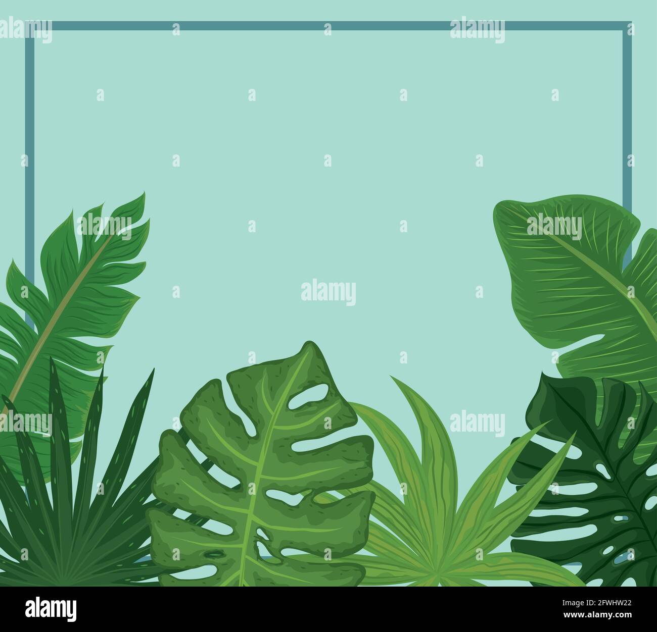 monstera tropical banner Stock Vector Image & Art - Alamy