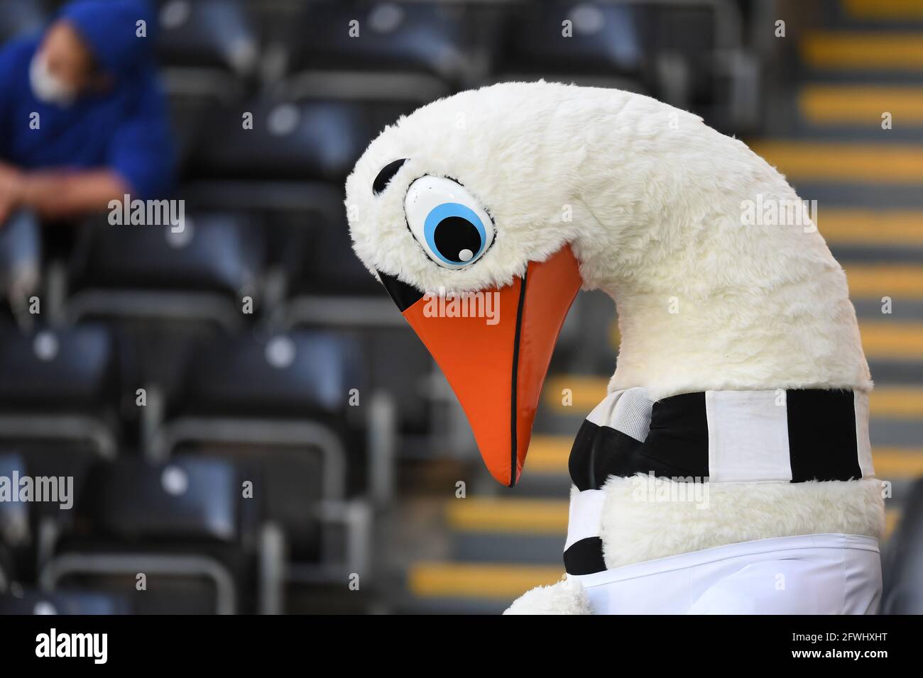 Swansea City Mascot Cyril the Swan during the game Stock Photo - Alamy