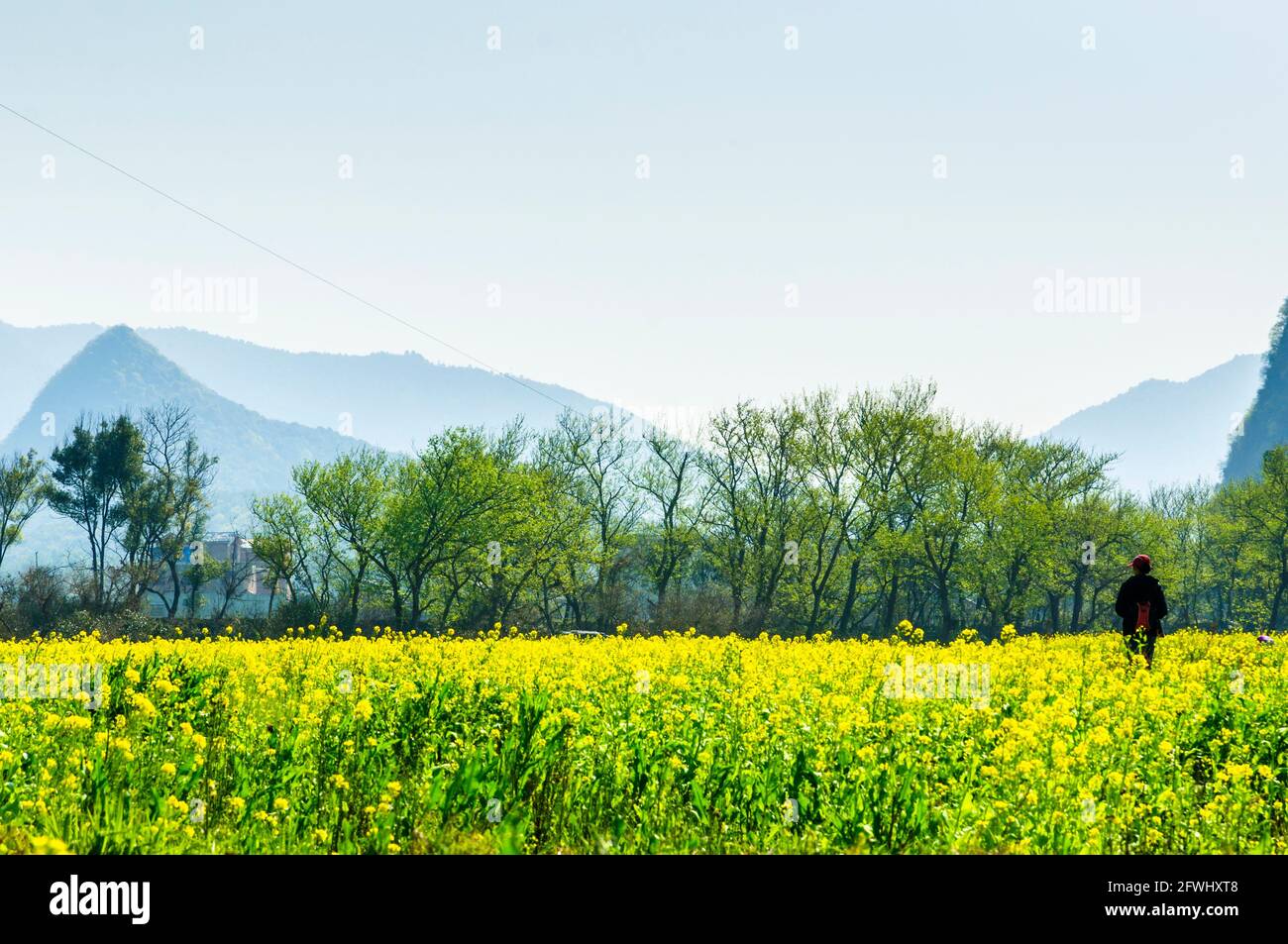 Countryside scenery in spring Stock Photo - Alamy