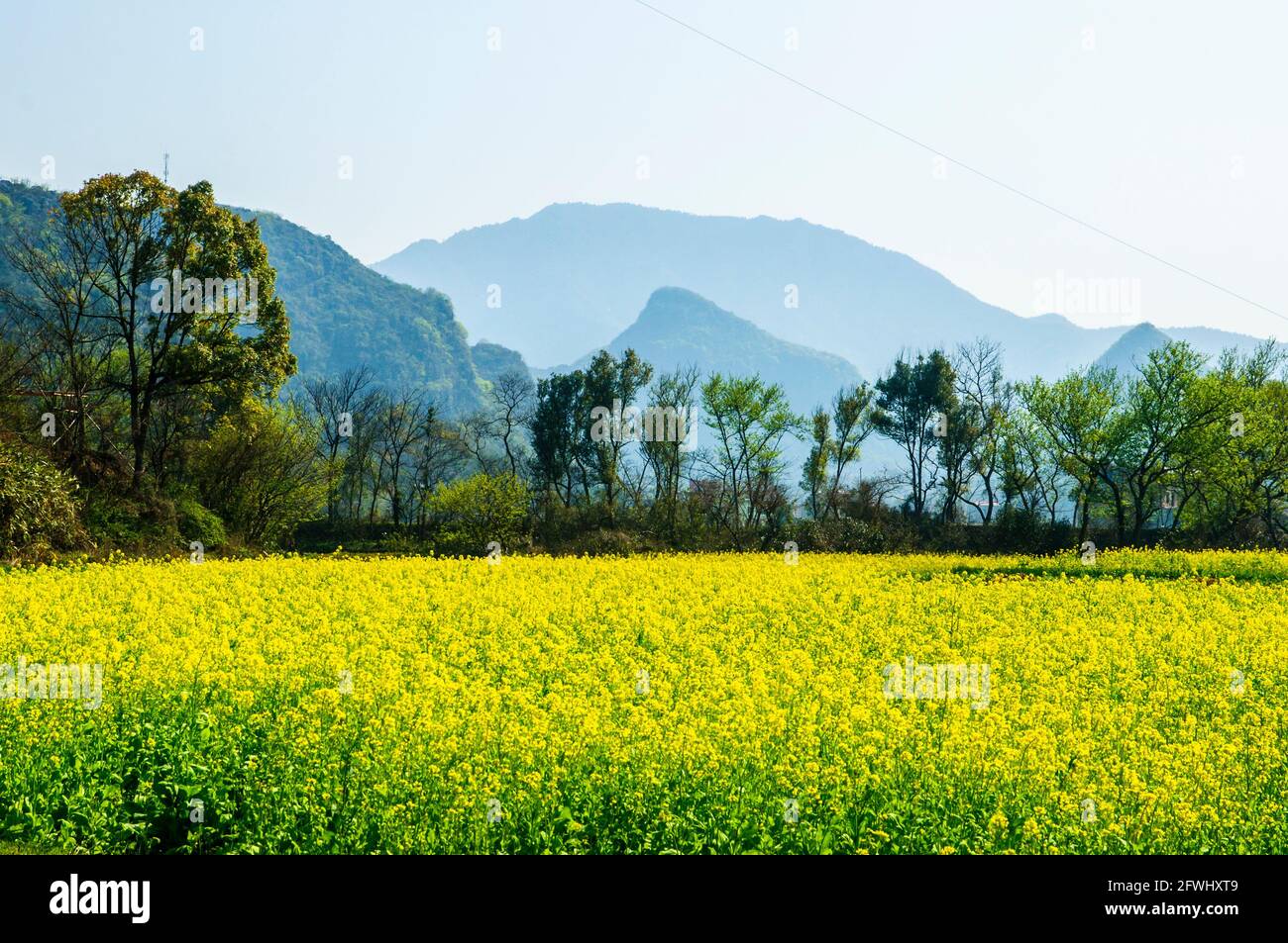 Countryside scenery in spring Stock Photo - Alamy