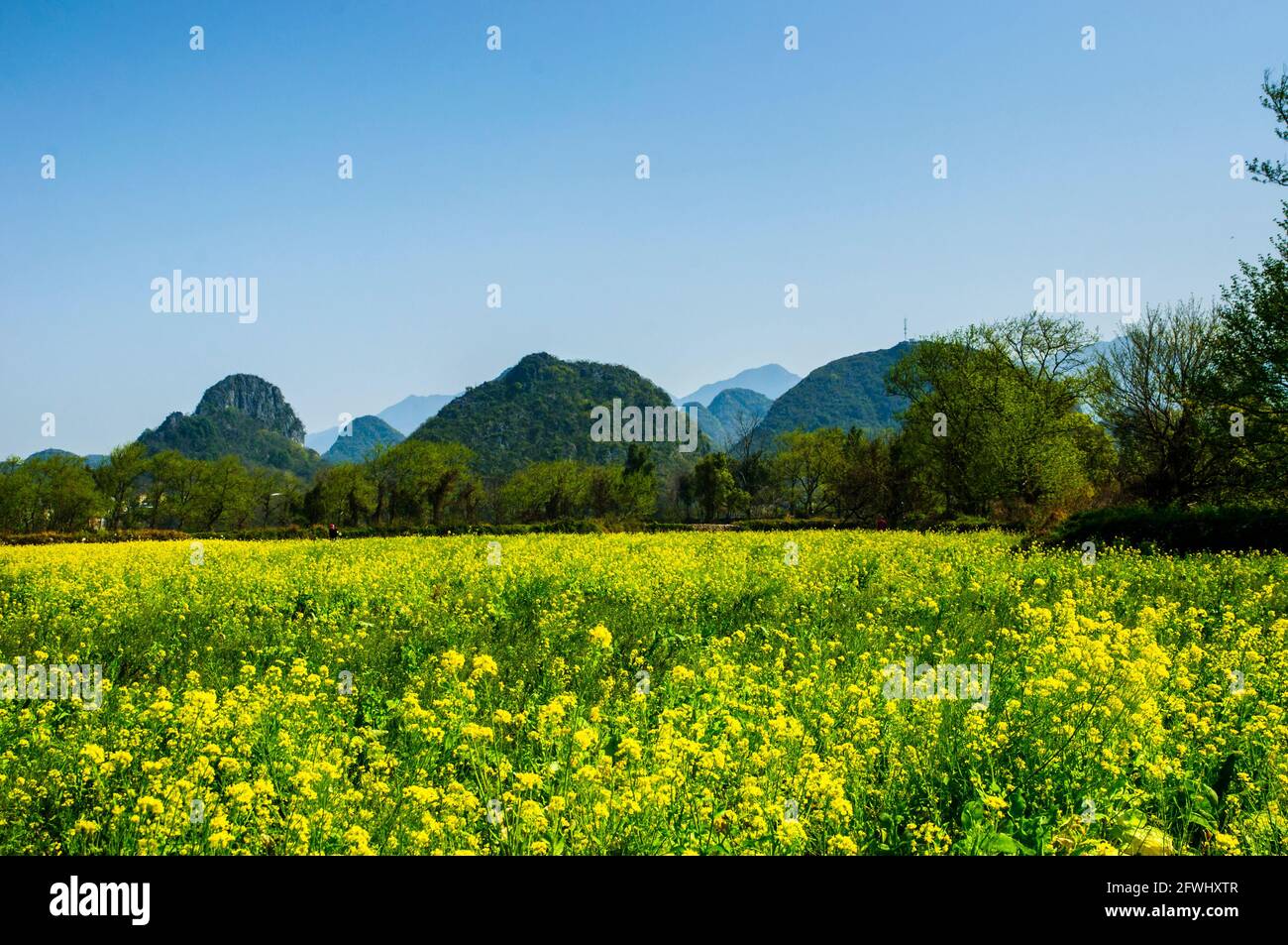 Countryside scenery in spring Stock Photo - Alamy