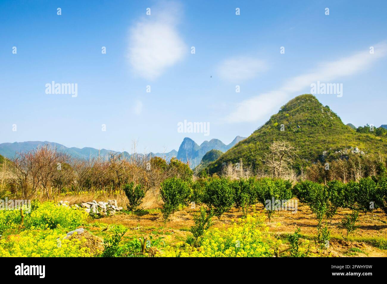 Spring scenery, Guilin, China Stock Photo - Alamy