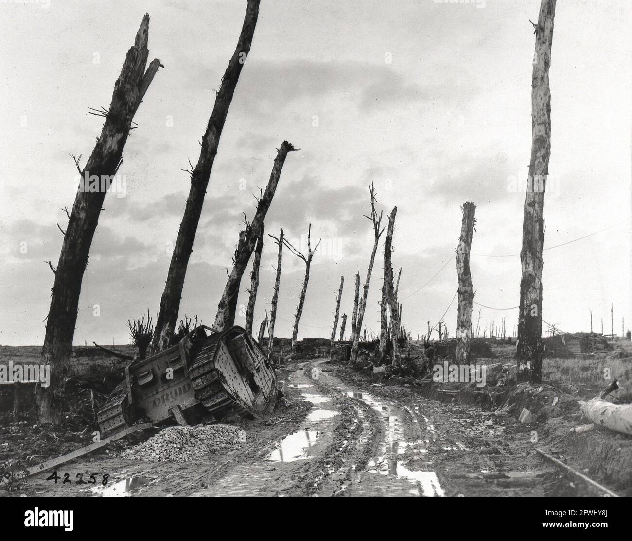 World War One WWI The Great War A destroyed British tank lies abandoned ...