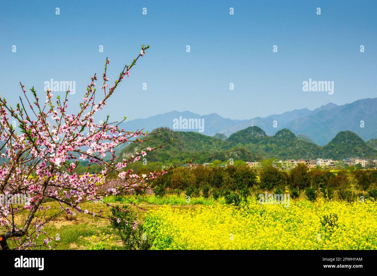 Beautiful countryside scenery in spring Stock Photo - Alamy