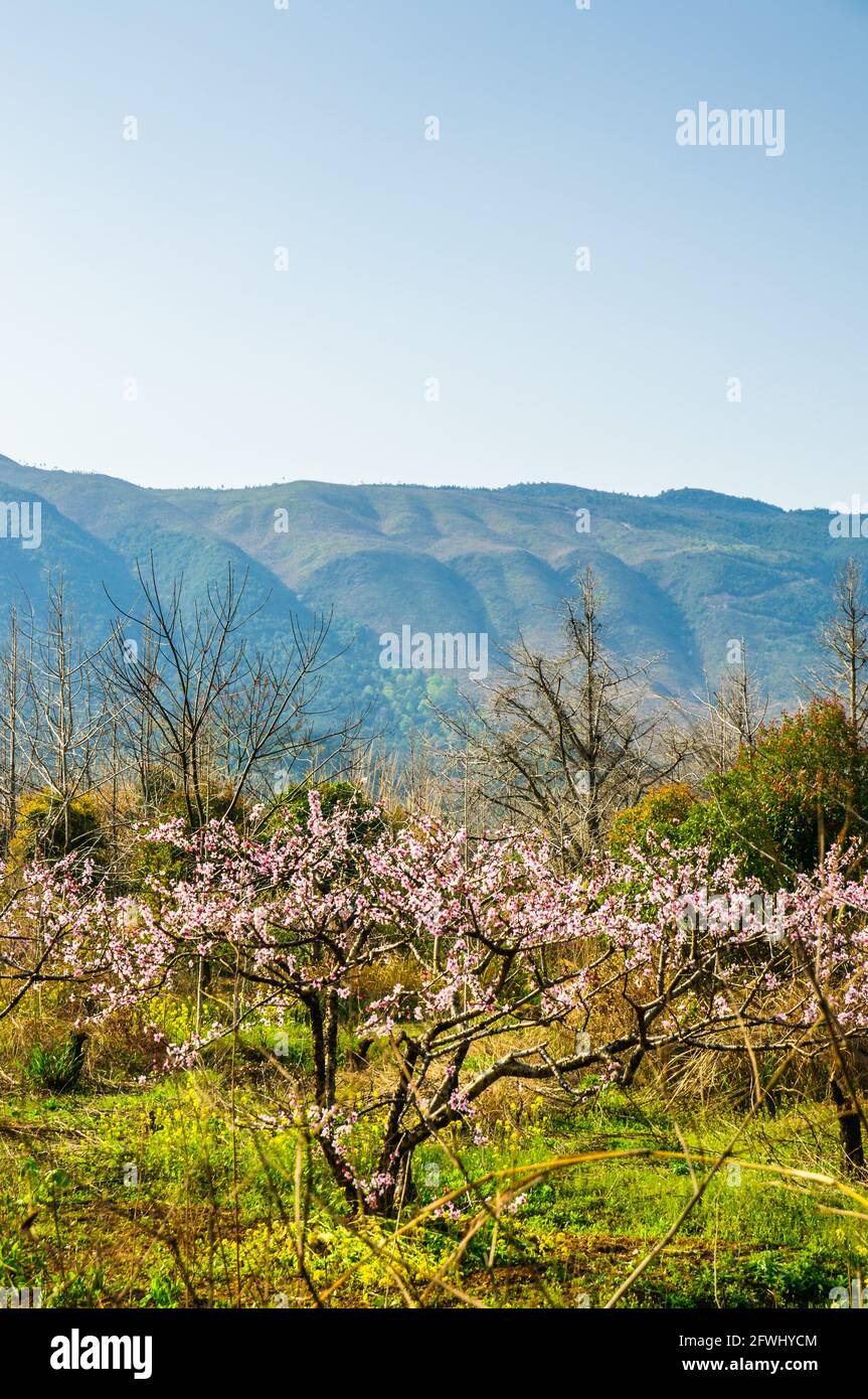 Beautiful countryside scenery in spring Stock Photo - Alamy