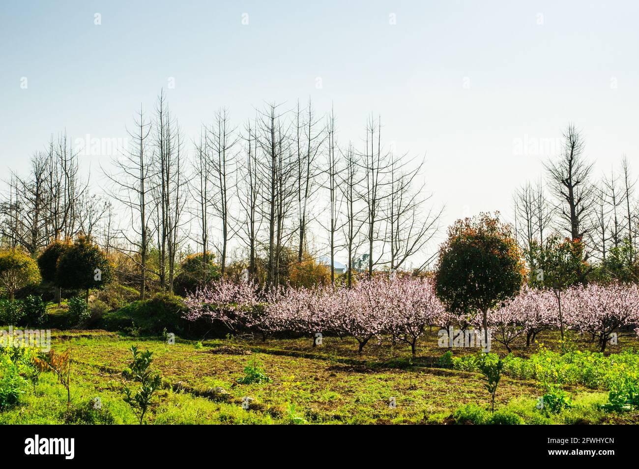 Countryside attraction hi-res stock photography and images - Alamy