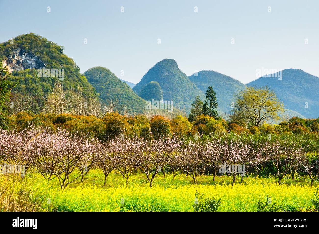Beautiful countryside scenery in spring Stock Photo - Alamy