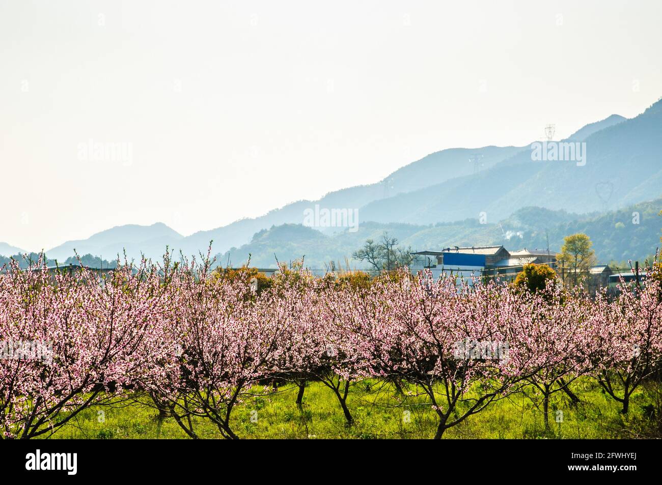 Beautiful countryside scenery in spring Stock Photo - Alamy