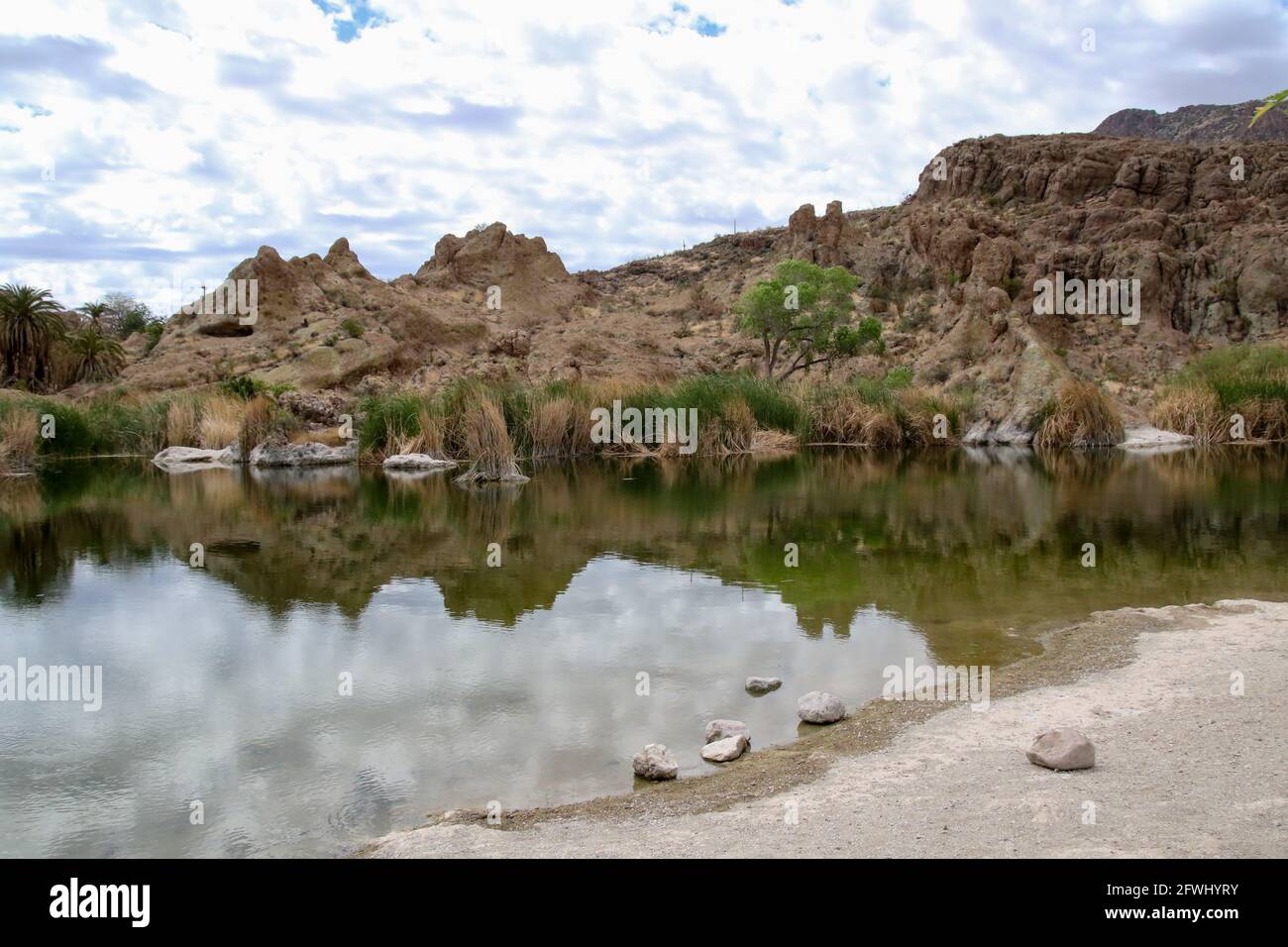 Boyce thompson arboretum hi-res stock photography and images - Alamy