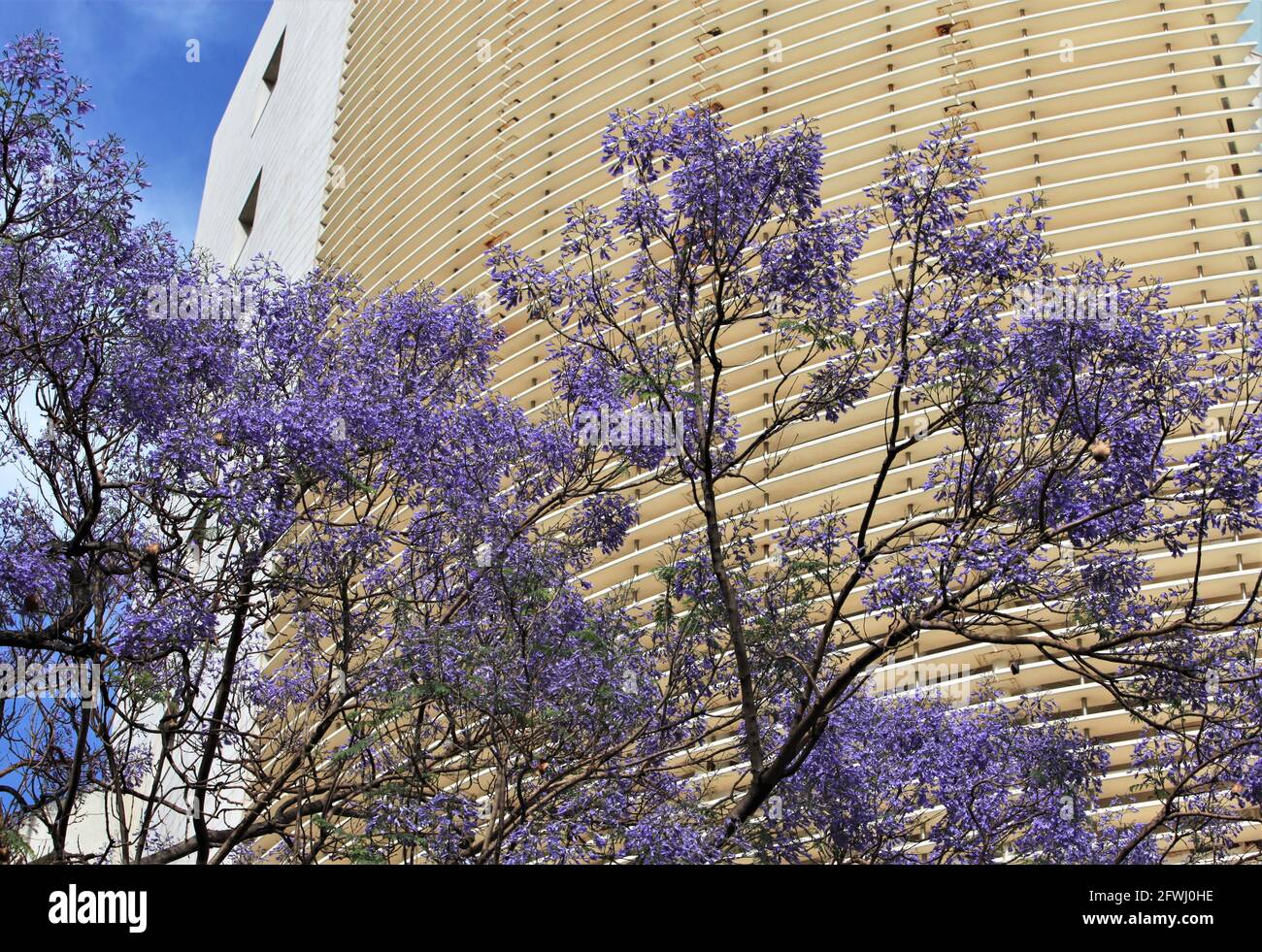 Damascus street in beirut hi-res stock photography and images - Alamy