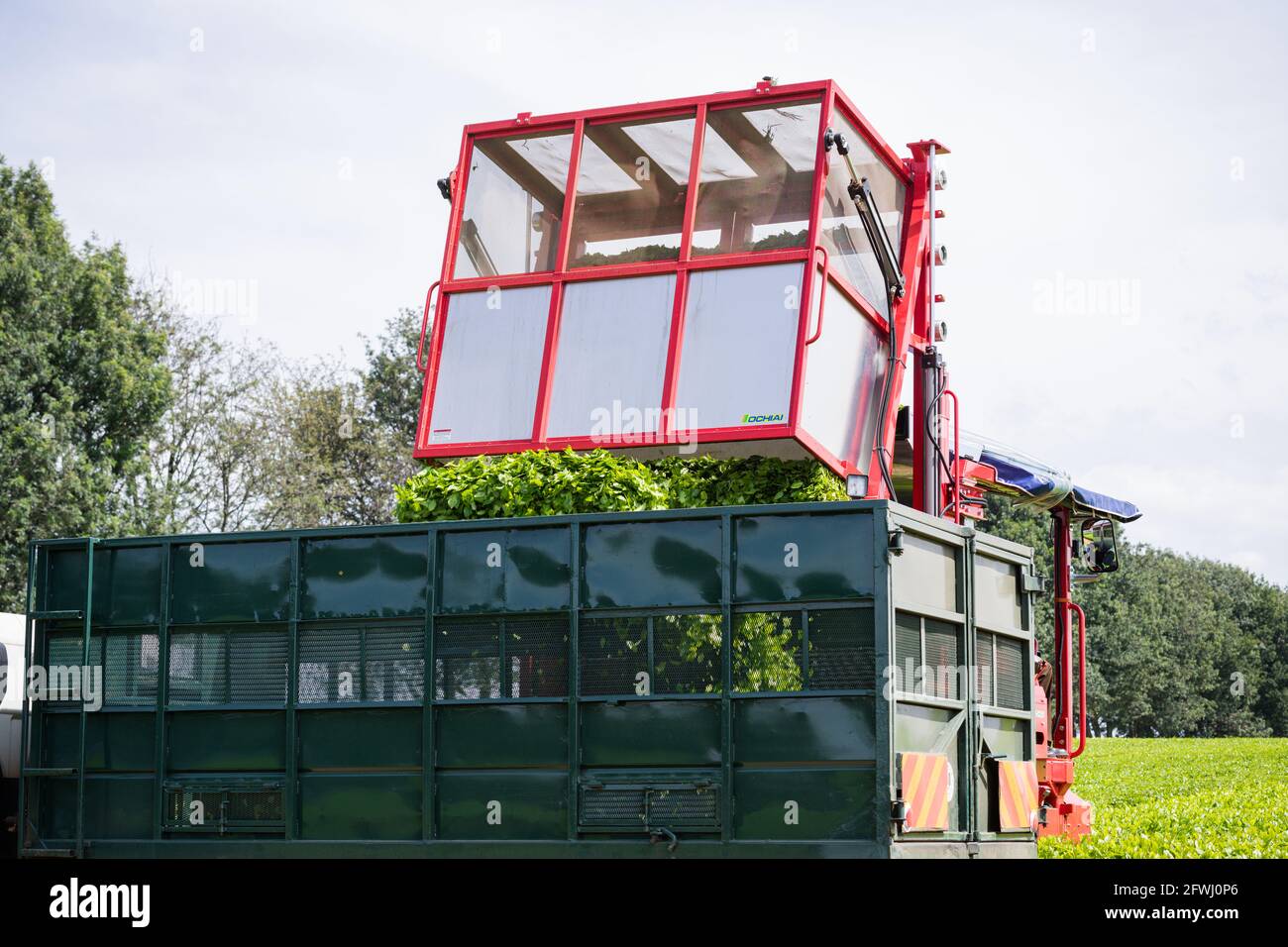 Tea leaf plucking machine hi-res stock photography and images - Alamy