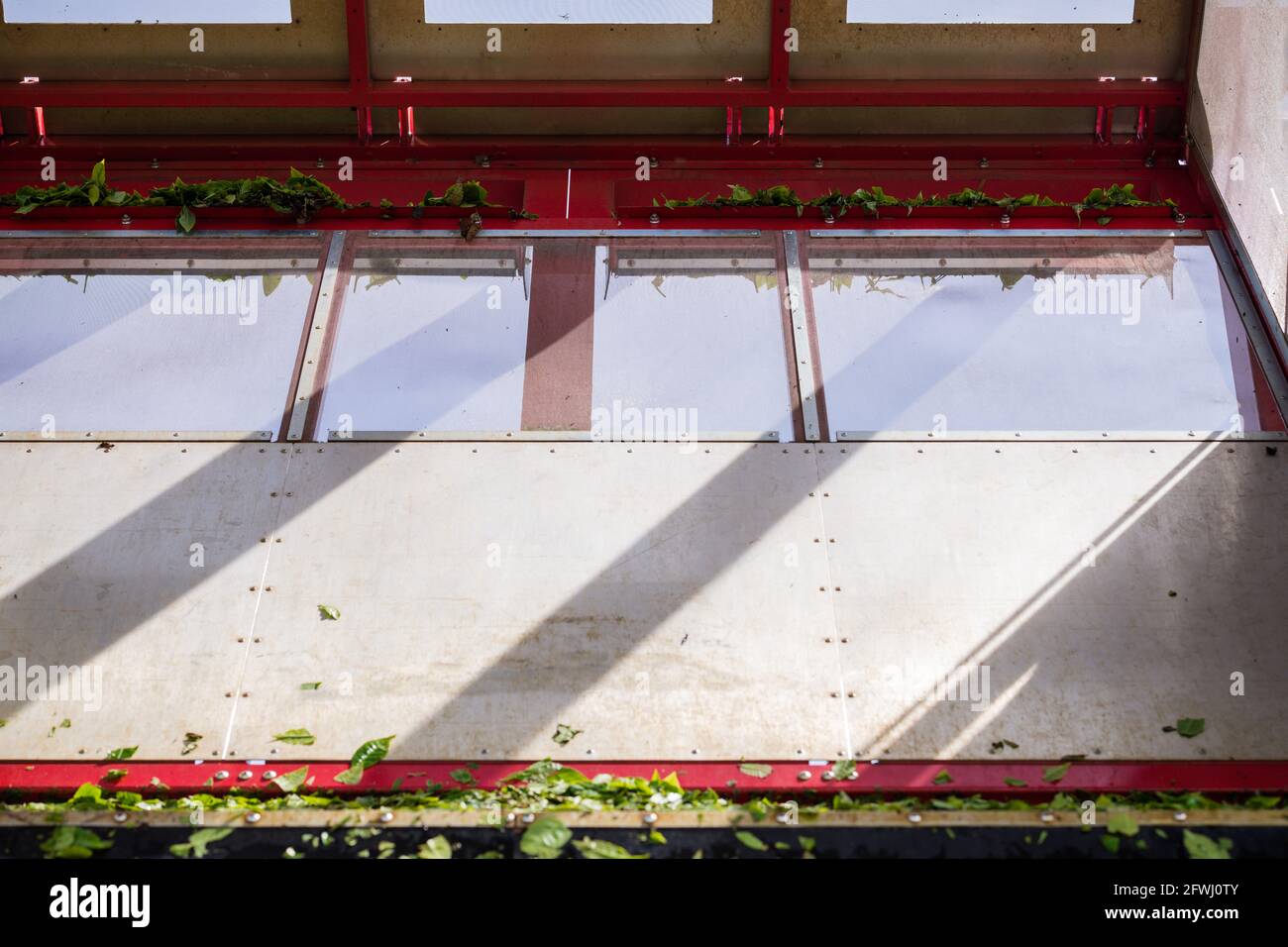 Tea Leave Farm Estate Plantation Plucking Machine At The James Finlay ...