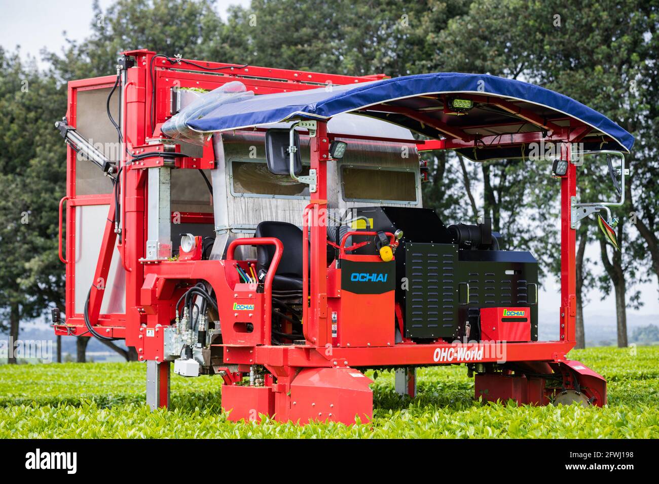 Tea Leave Farm Estate Plantation Plucking Machine At The James Finlay ...