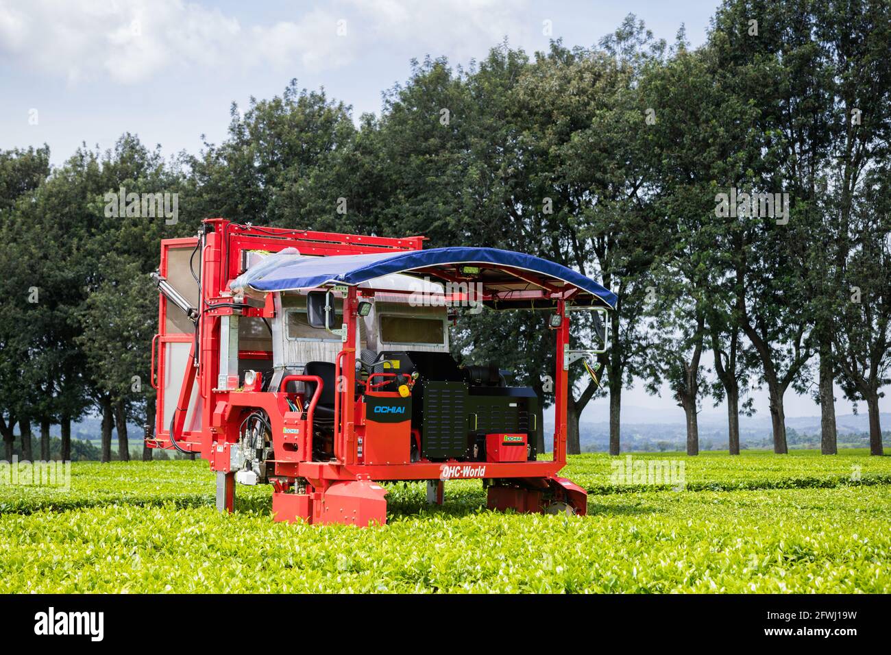 Tea Leave Farm Estate Plantation Plucking Machine At The James Finlay ...