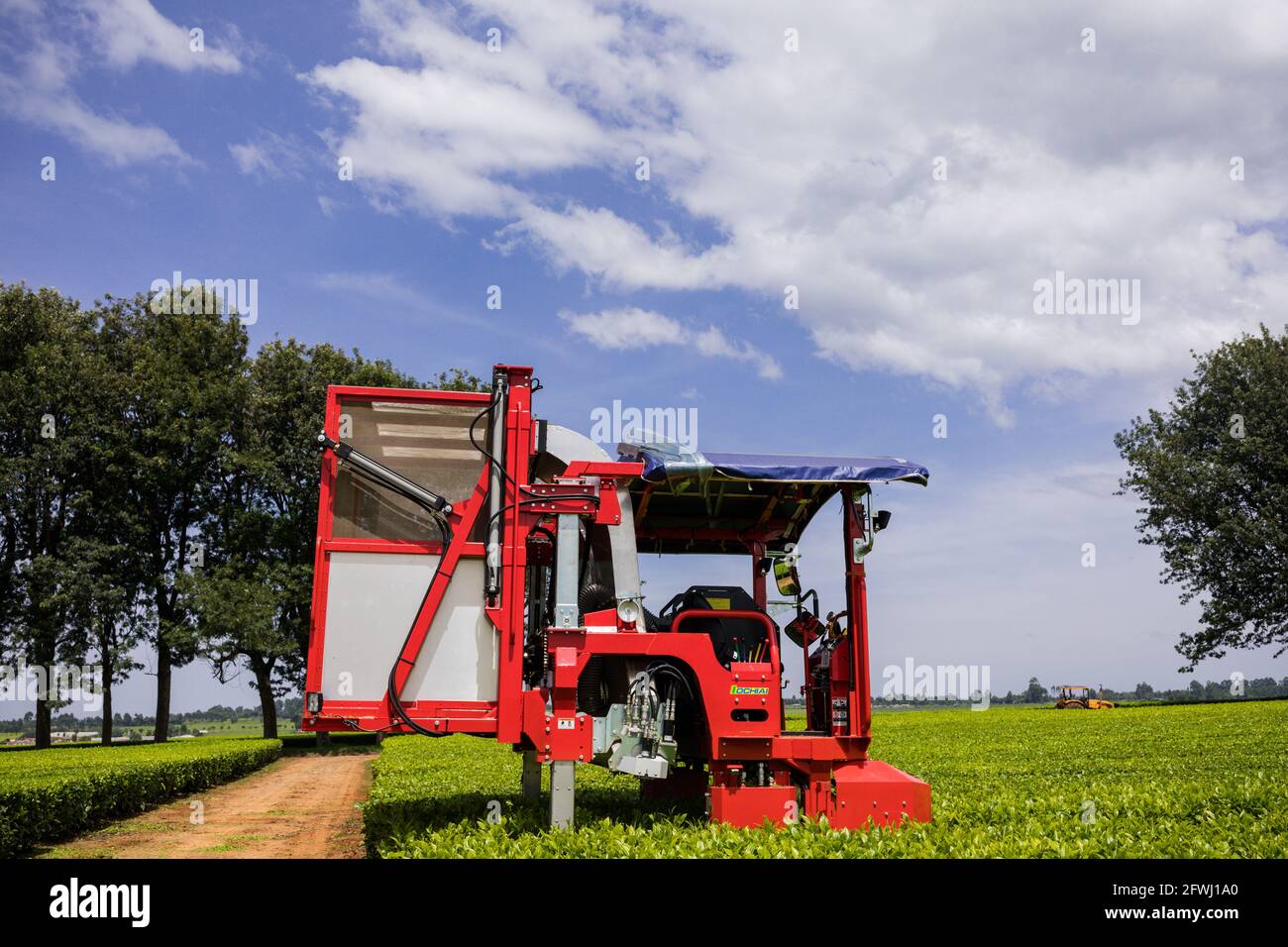 Tea Leave Farm Estate Plantation Plucking Machine At The James Finlay ...