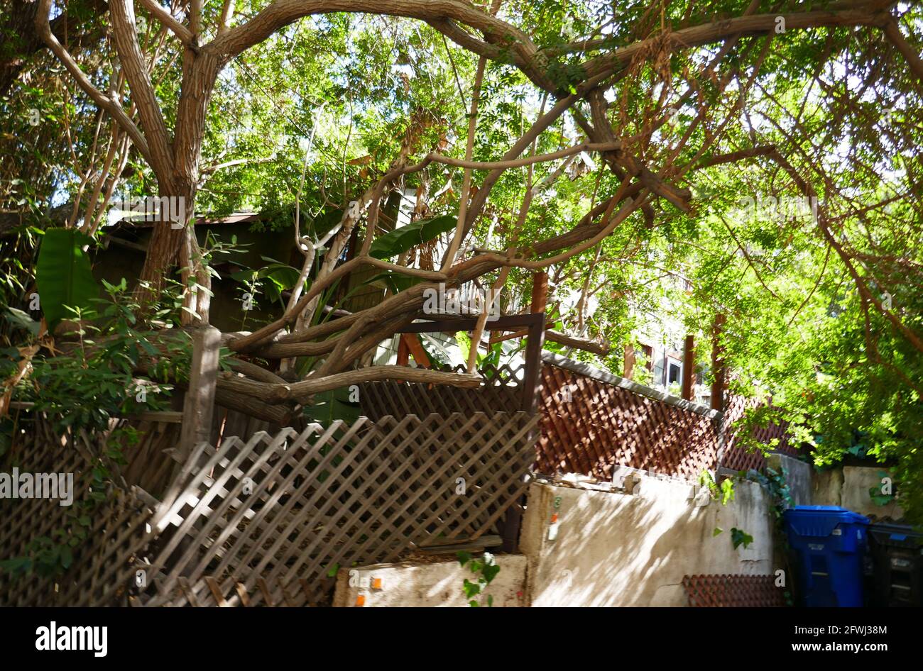 Tarzan edgar rice burroughs hi-res stock photography and images - Alamy