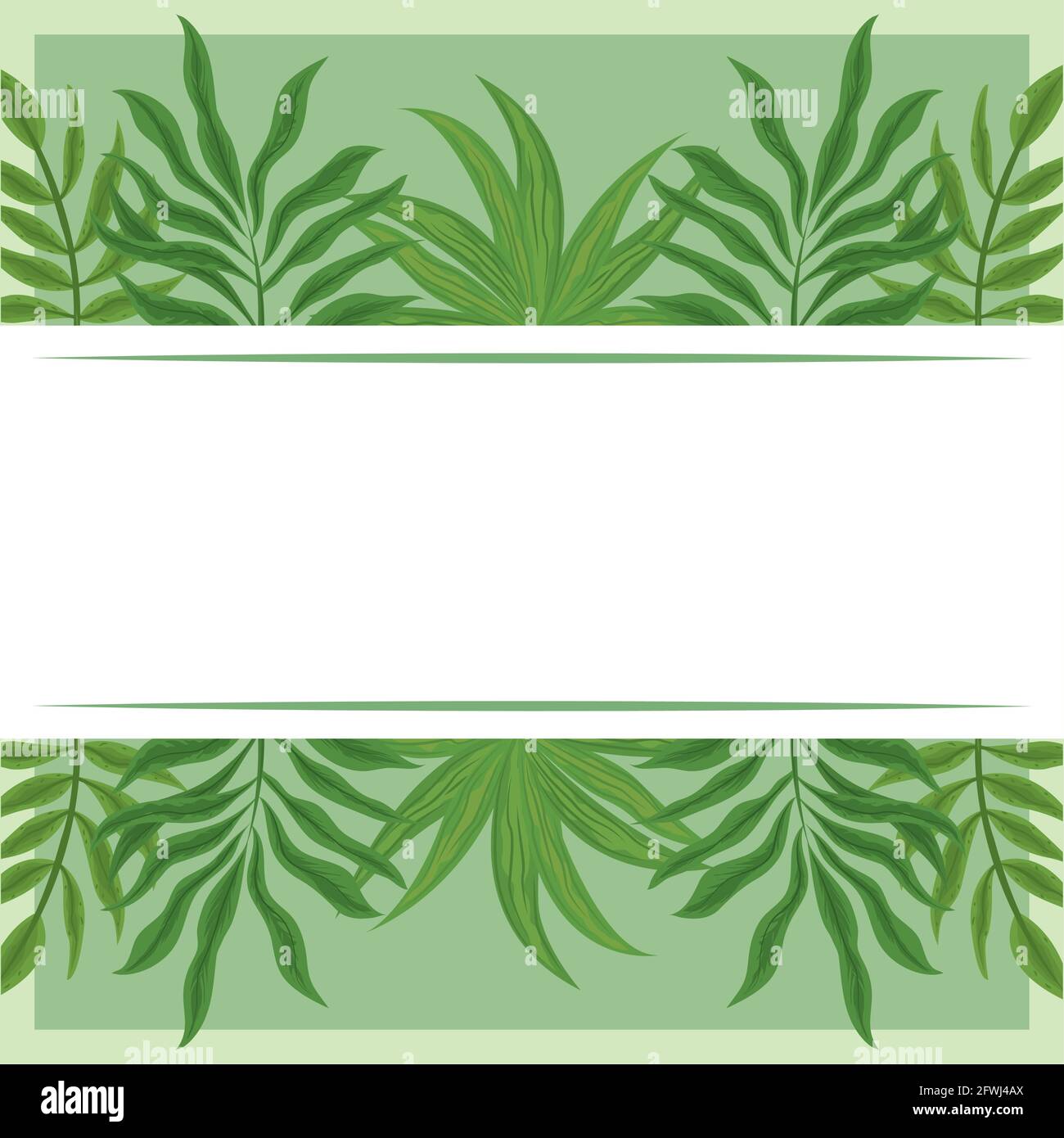 palm leaves banner Stock Vector Image & Art - Alamy