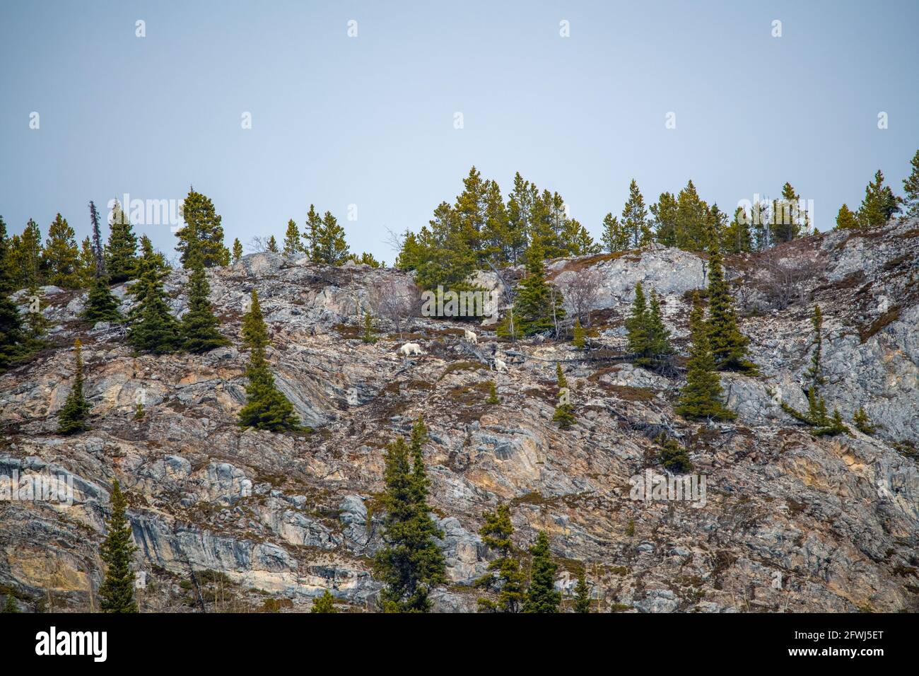 Wilderness rock face, cliff on the side of a mountain in Yukon ...