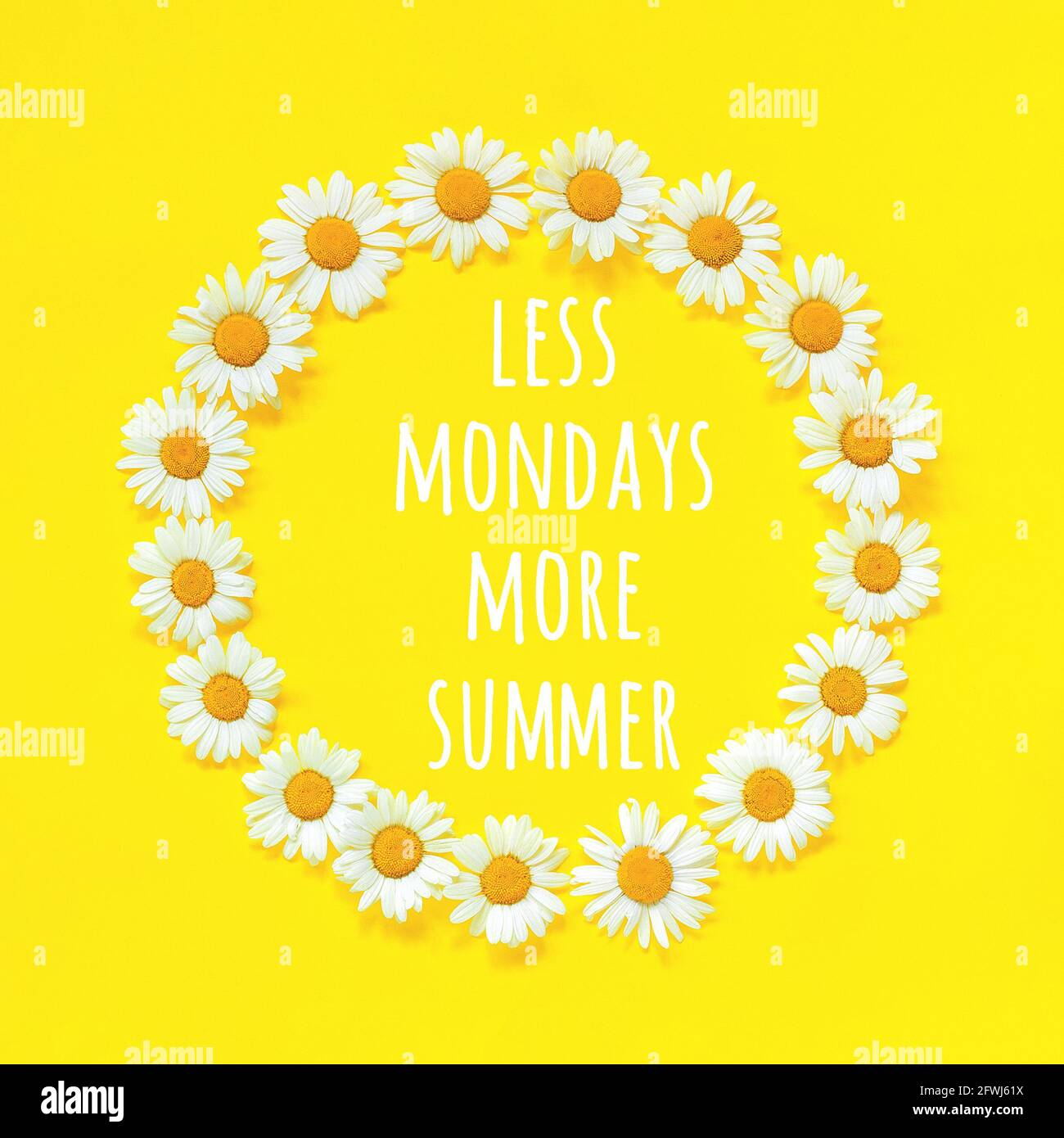 Positive motivational quote. Less mondays more summer text in frame ...