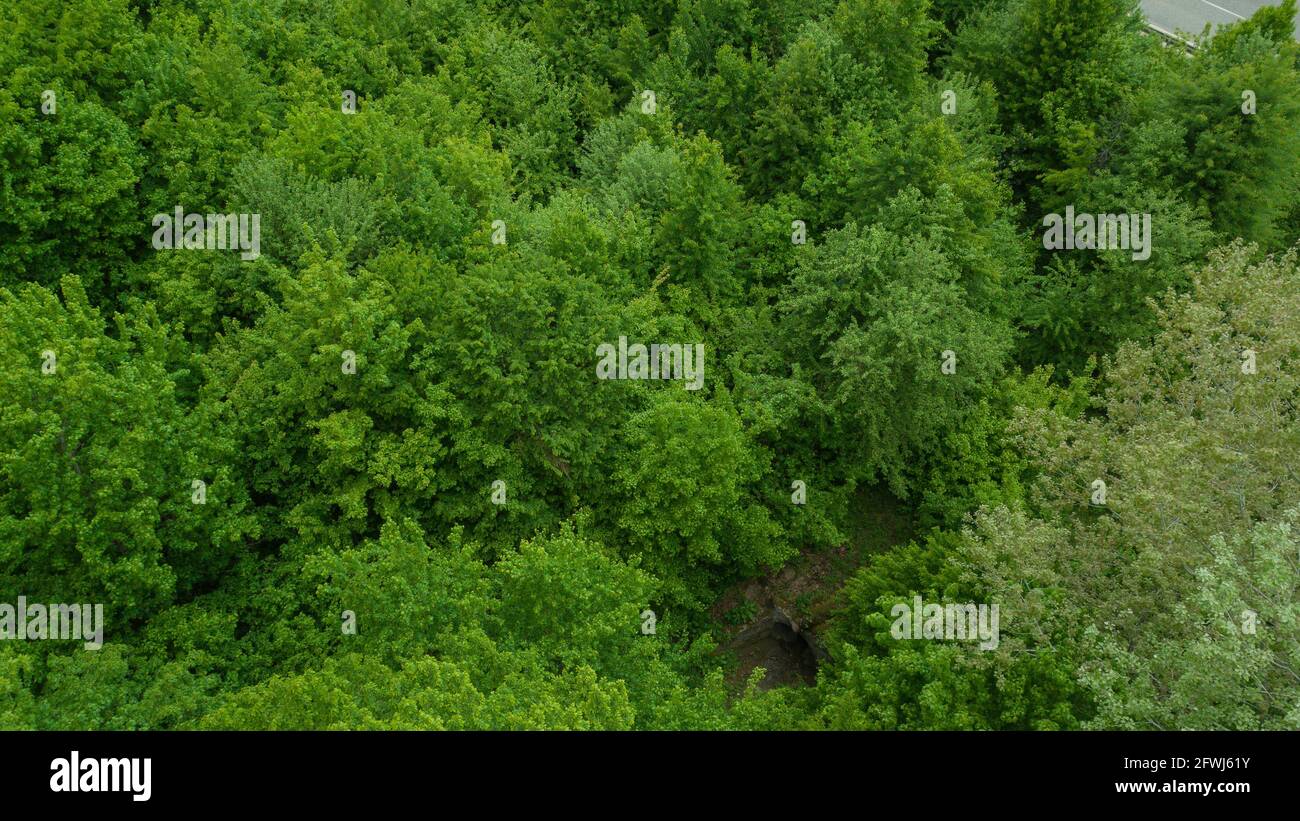 Aerial top down view river in tropical jungle green rainforest. 4K ...