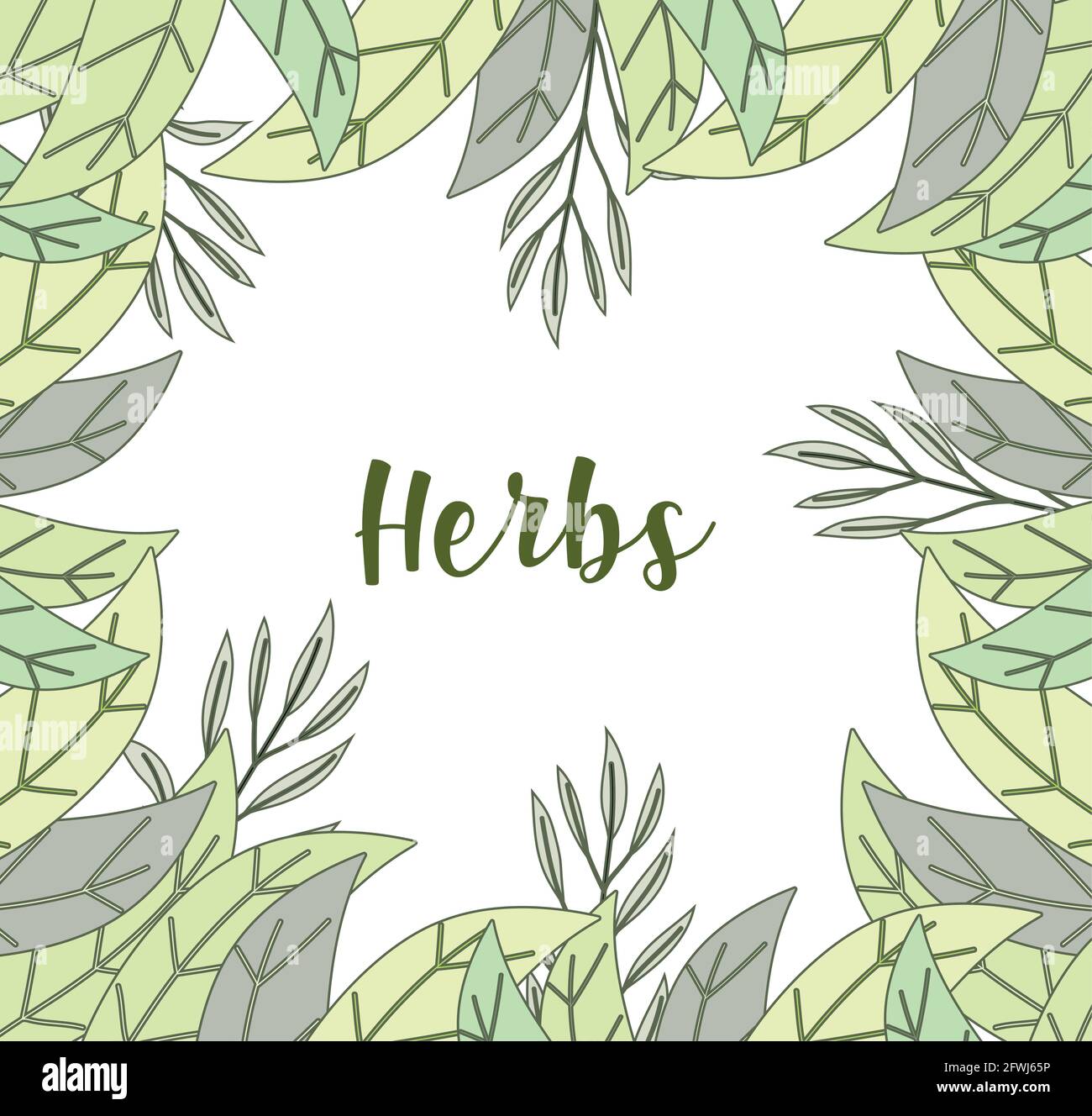 herbs greenery background Stock Vector Image & Art - Alamy