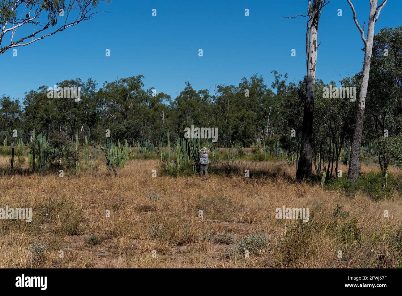 Rubyvale, Queensland, Australia - May 2021: Female retiree ...