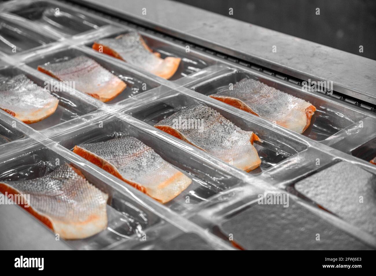 Fish packing plant hi-res stock photography and images - Alamy