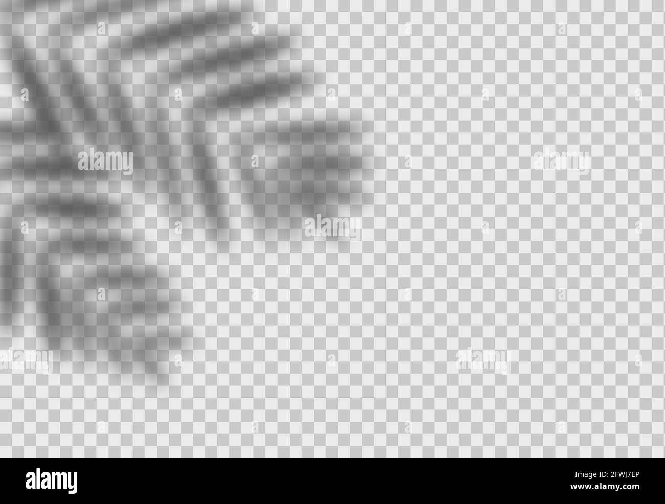 Palm leaf shadow. Vector overlay effect with tropical leaves. Realistic ...