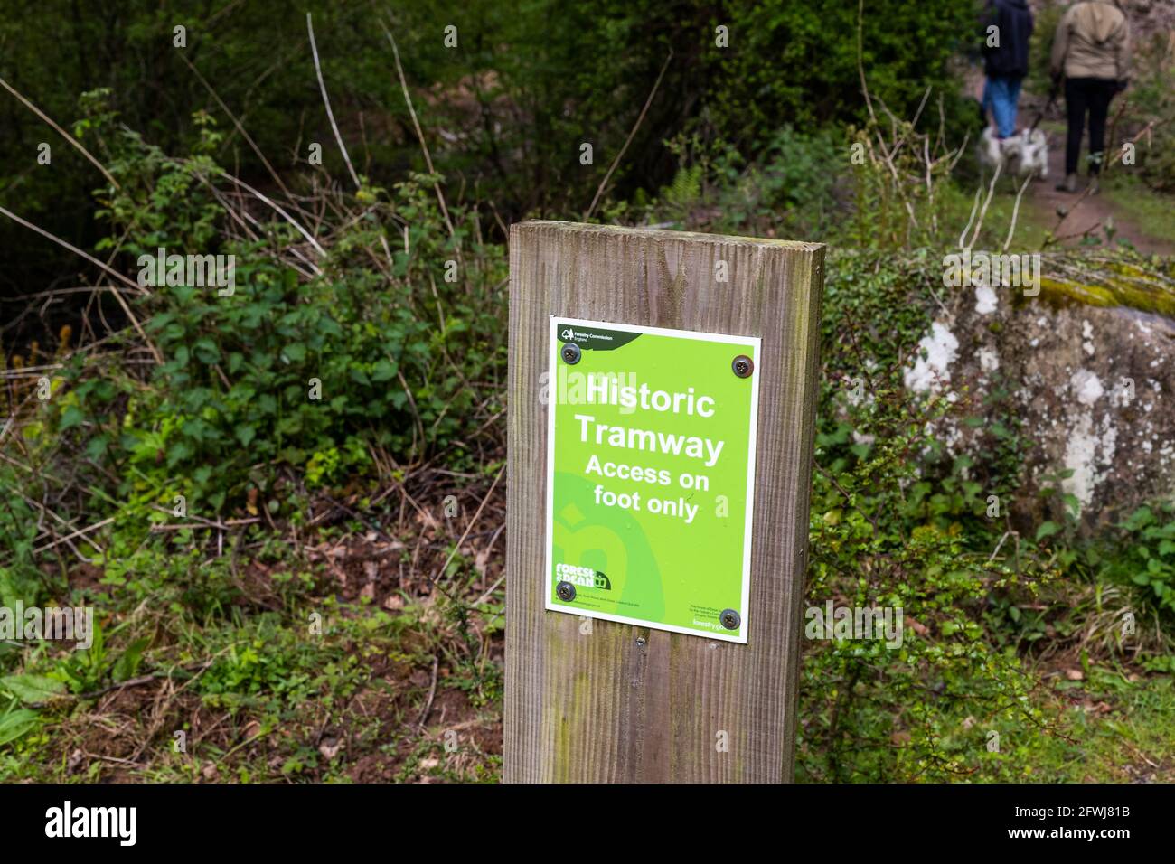 Old Tramway, Forest of Dean mining and quarrying. Bixslade Geology Walk ...