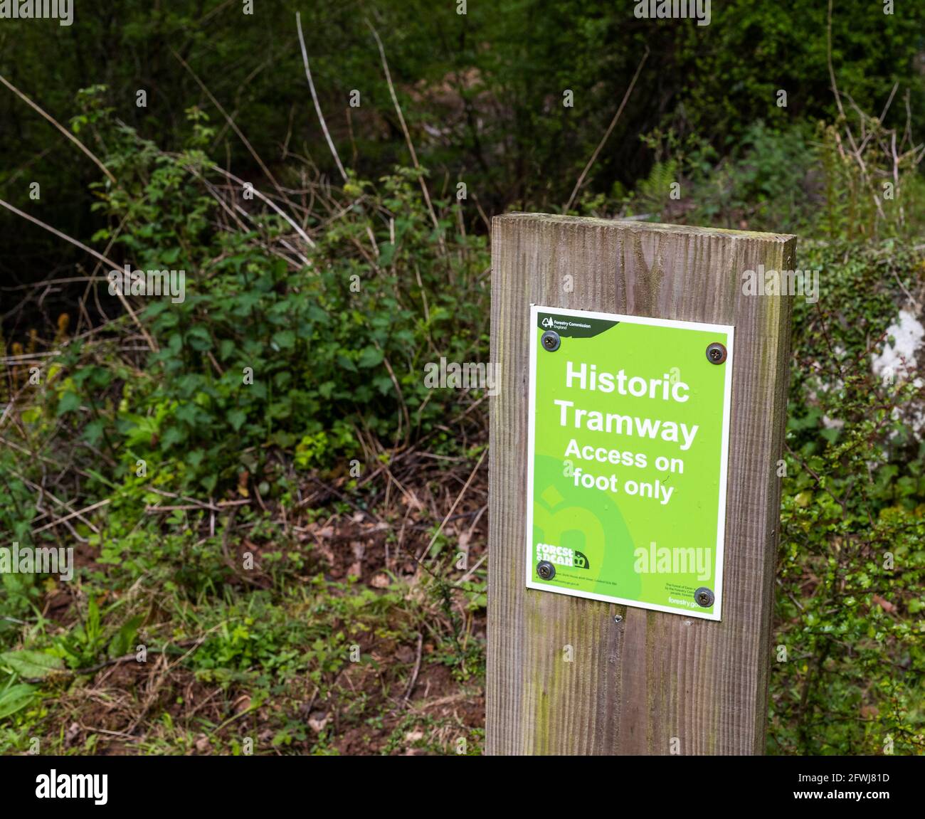 Old Tramway, Forest of Dean mining and quarrying. Bixslade Geology Walk ...
