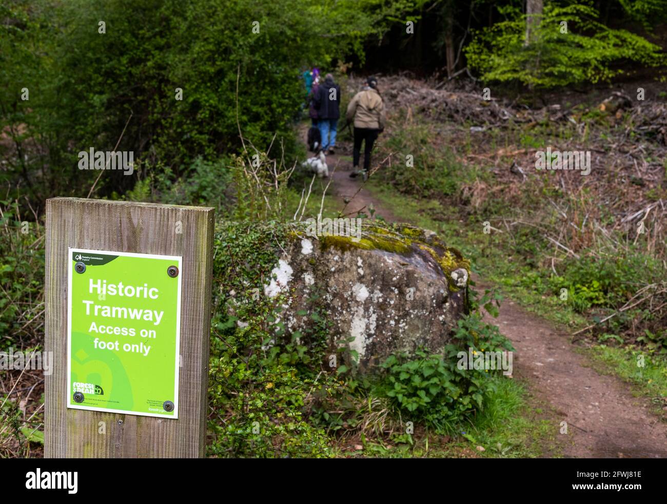 Old Tramway, Forest of Dean mining and quarrying. Bixslade Geology Walk ...