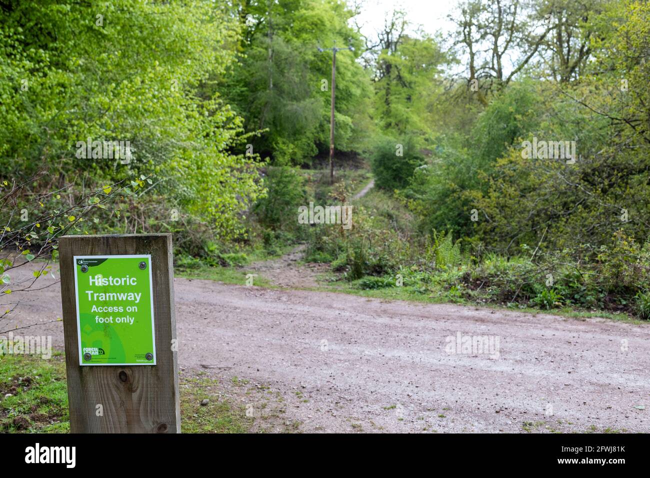 Old Tramway, Forest of Dean mining and quarrying. Bixslade Geology Walk ...