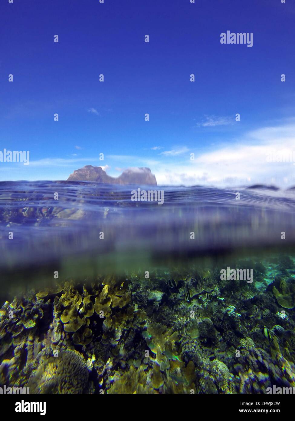 Australian lagoon underwater hi-res stock photography and images - Alamy