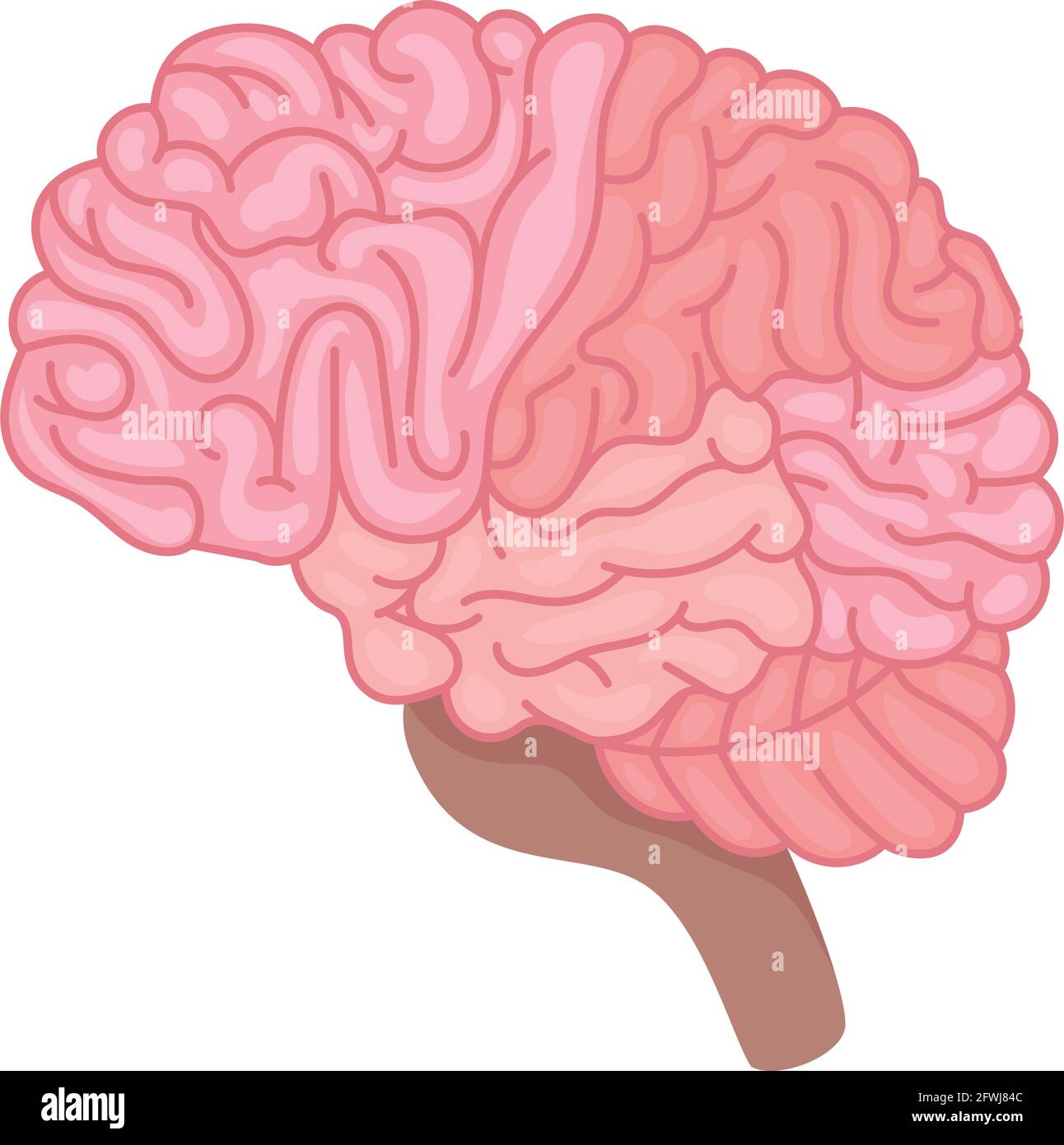 pink brain icon Stock Vector Image & Art - Alamy