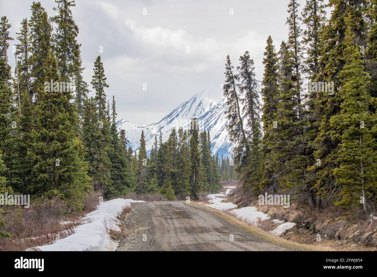 Boreal Mountain High Resolution Stock Photography and Images - Alamy